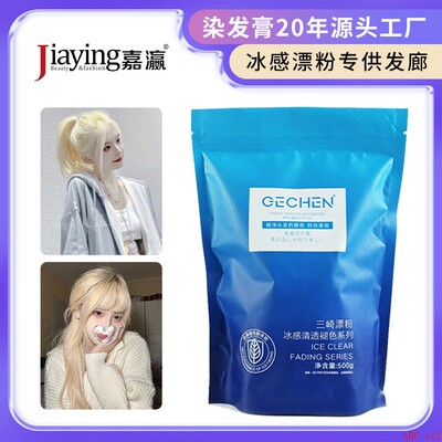 Hair Fading Light Color Bleach 500g Hair Salon specific Was