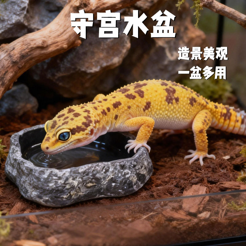 守宫水盆食盆喝水碗树桩杯饲养箱专用造景睫角豹纹蜥蜴爬宠用品