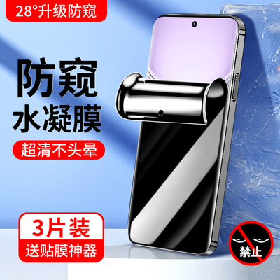 狼神适用realmeV70手机膜