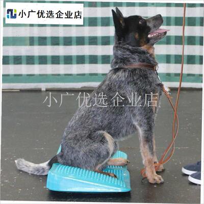 宠物康复训练斜坡充气坡道锲子狗健身球肌肉U体重转移倾引渡\