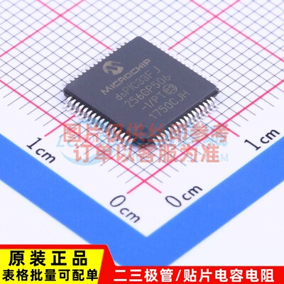 数字信号处理器(DSP/DSC) DSPIC33FJ256GP506-I/PT TQFP-64 MICRO