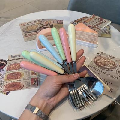 【一套勺叉】创意可爱糖果色不锈钢西餐餐具家用饭勺甜品勺雪糕勺