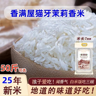 香满屋猫牙米茉莉香米20斤