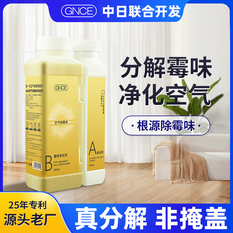 佳尼斯A+B霉味祛除剂老人房卧室空气净化剂衣物潮湿除霉味神器