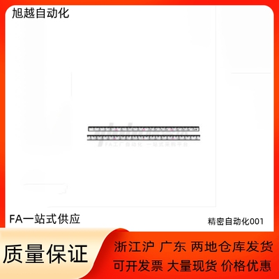 刻度标尺BLR01/02/05/06/31/32/35/36/71/72/75-L100 L200 L300