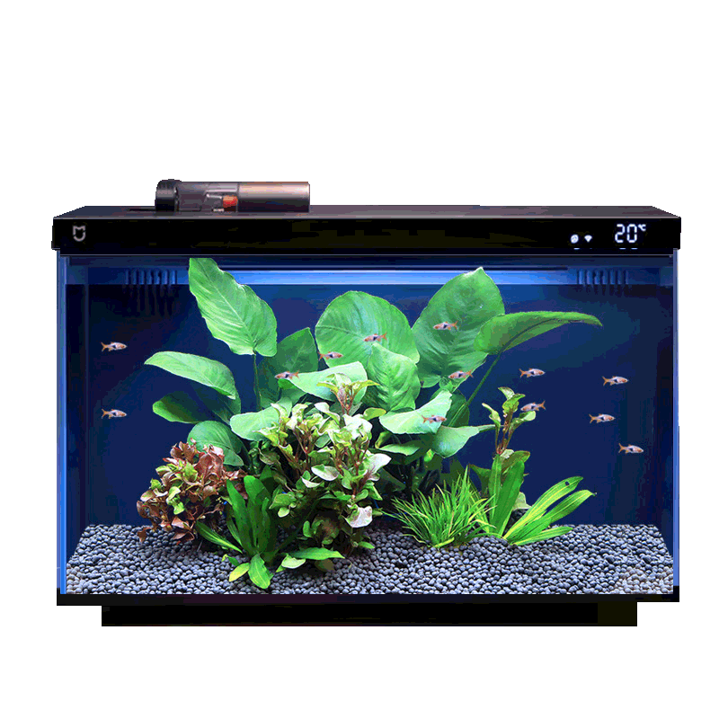 鱼缸水草植物造景套餐