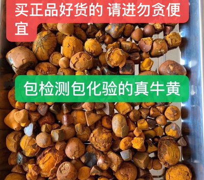 牛黄中药材纯天然牛黄 正品牛胆黄 牛结石 丑宝 西黄1克