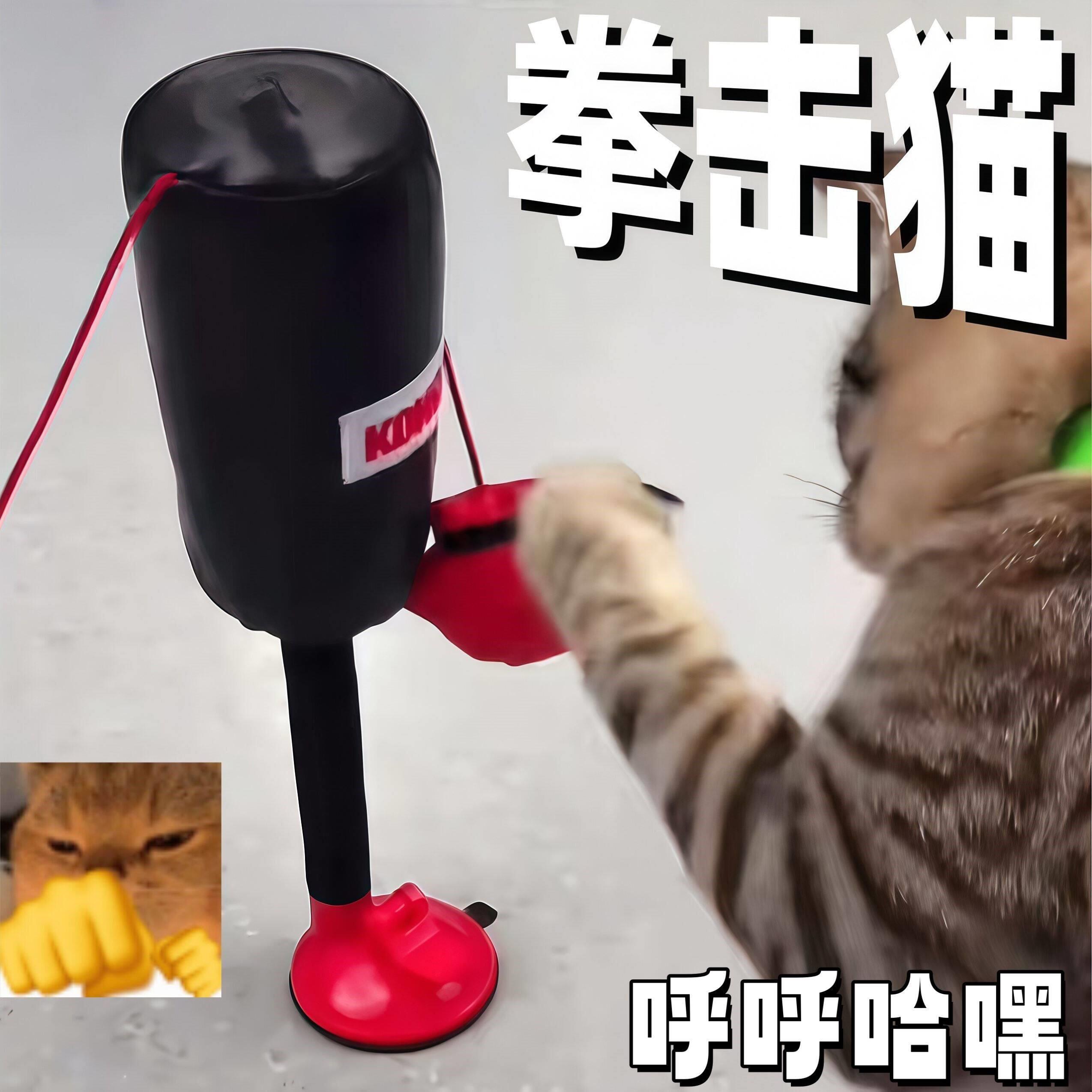 猫咪拳击手套趣味逗猫玩具猫咪自嗨解闷沙袋吸盘立柱宠物互动游戏