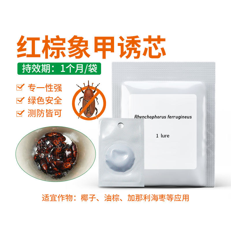 中捷四方诱尔红棕象甲性诱剂诱芯小蠹诱捕器果树害虫