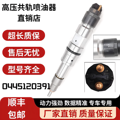 潍柴国五0445120391喷油器总成