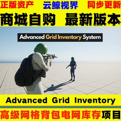 UE5.3-5.8虚幻5 Advanced Grid Inventory System 网格库存系统
