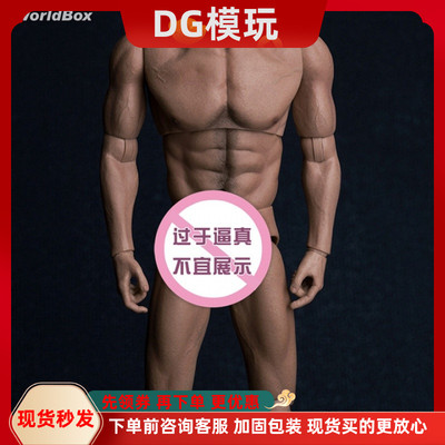 WorldBox 1/6兵人素体 AT017 耐操素体 无脖宽肩版 可动模型 现货