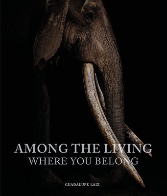 【预售】Among the Living: Where You Belong 生者之中：你的归属 进口书籍 摄影书籍