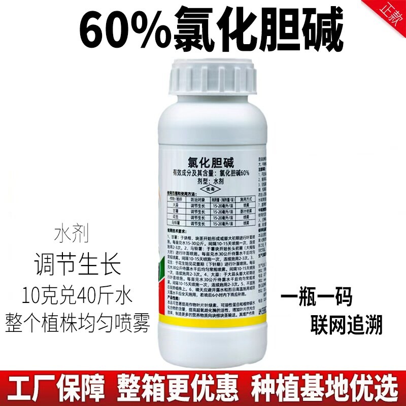 60%氯化胆碱大蒜甘薯花生马铃薯增产根茎膨大剂调节剂农药农用