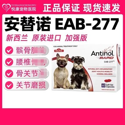新西兰安替诺Antinol227髌骨脱位软骨素宠物猫咪狗狗呵护关节骨刺