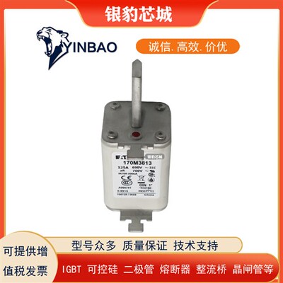 170M3491 170M3492 170M3493 170M3494 170M3495全新熔断器保险丝