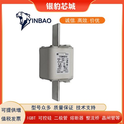 170M5971 170M5972 170M5973 170M5974 170M5975全新熔断器保险丝