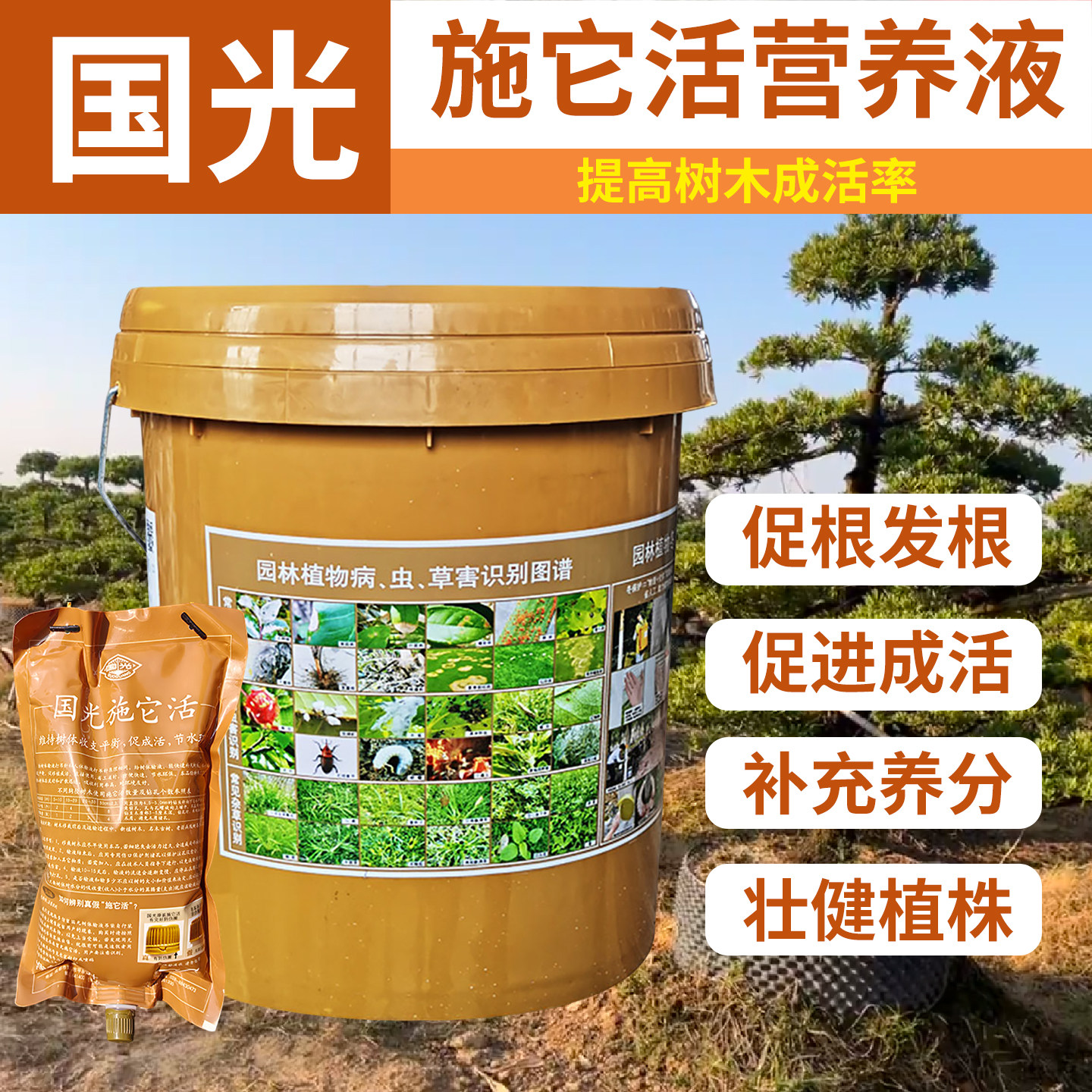 国光施它活大树营养吊针液激活液催芽液苗木移栽促成活生根营养液
