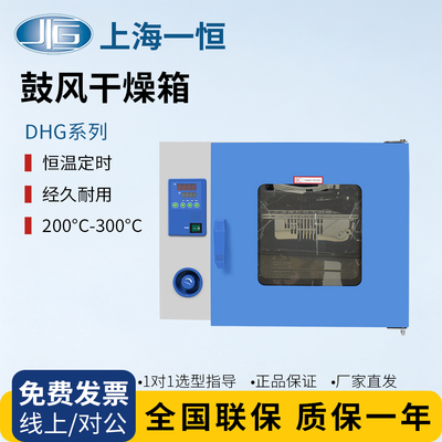 上海一恒DHG-9030A电热鼓风干燥箱实验室高效加热工业烤箱烘箱