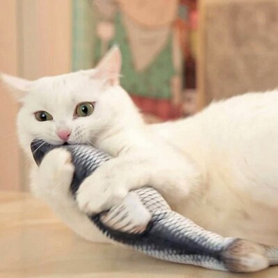 30cm Electronic Pet Cat Toys Interactive Electric USB Chargi