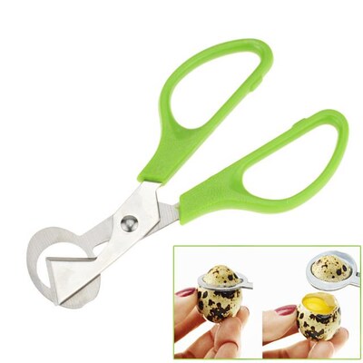 1pc Pigeon Quail Egg Scissor Bird Cutter Opener Egg Slicers