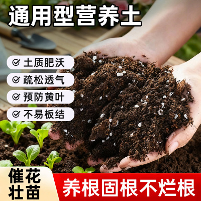 园艺师推荐超优质营养土通用型