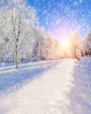 包邮冬天森林影楼雪景背景布圣诞主题拍照室内无纺布喷绘写真布工作室摄影成人儿童小红书阳光温暖山林脚印