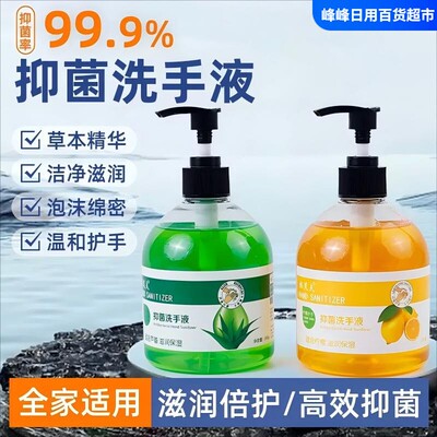 拉艾夫芦荟洗手液500g消家用毒