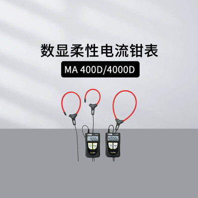 法国CAMA400D-170柔性电流钳表