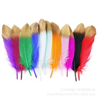 1520CM Golden Silver Tip Big Float Clothing Accessory Hanger