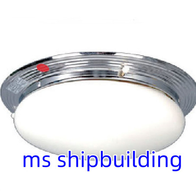 CPD1-2双泡蓬顶灯 Double- bulb ceiling light