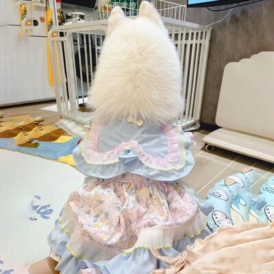 宠物春夏公主大中型犬绑带网纱裙宠物狗狗猫咪衣服萨摩耶防掉毛