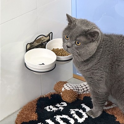 速发悬挂式陶瓷猫高不易打翻增碗架下口碗防黑斜巴密封防潮桶20斤