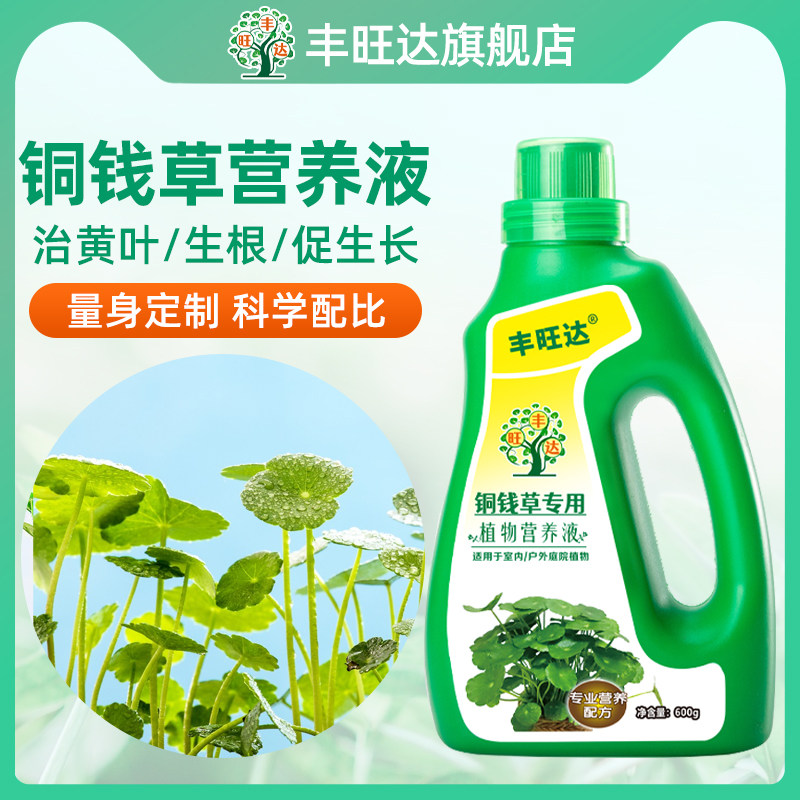铜钱草专用肥营养液水培土培金钱草肥料家用盆栽通用氮磷钾复合肥