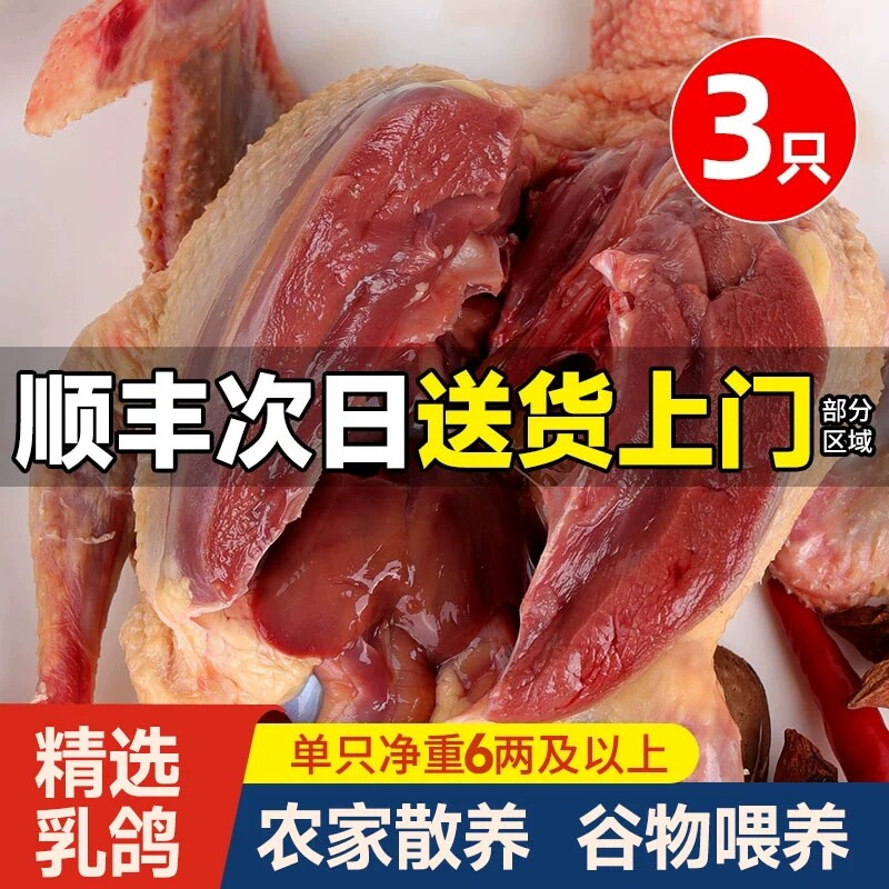 星球煮乳鸽农家散养土鸽子新鲜现杀生鲜鸽子肉煲汤营养滋补鸽子汤