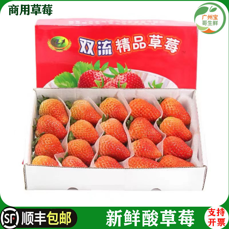 双流冬四季酸草莓新鲜商用水果奶茶烘焙饮品糖葫芦专用顺丰包邮
