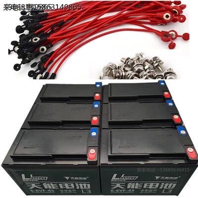 电瓶 48V60V72V电动车专用6-EVF-45/20A32A铅酸电池 电动车蓄电池