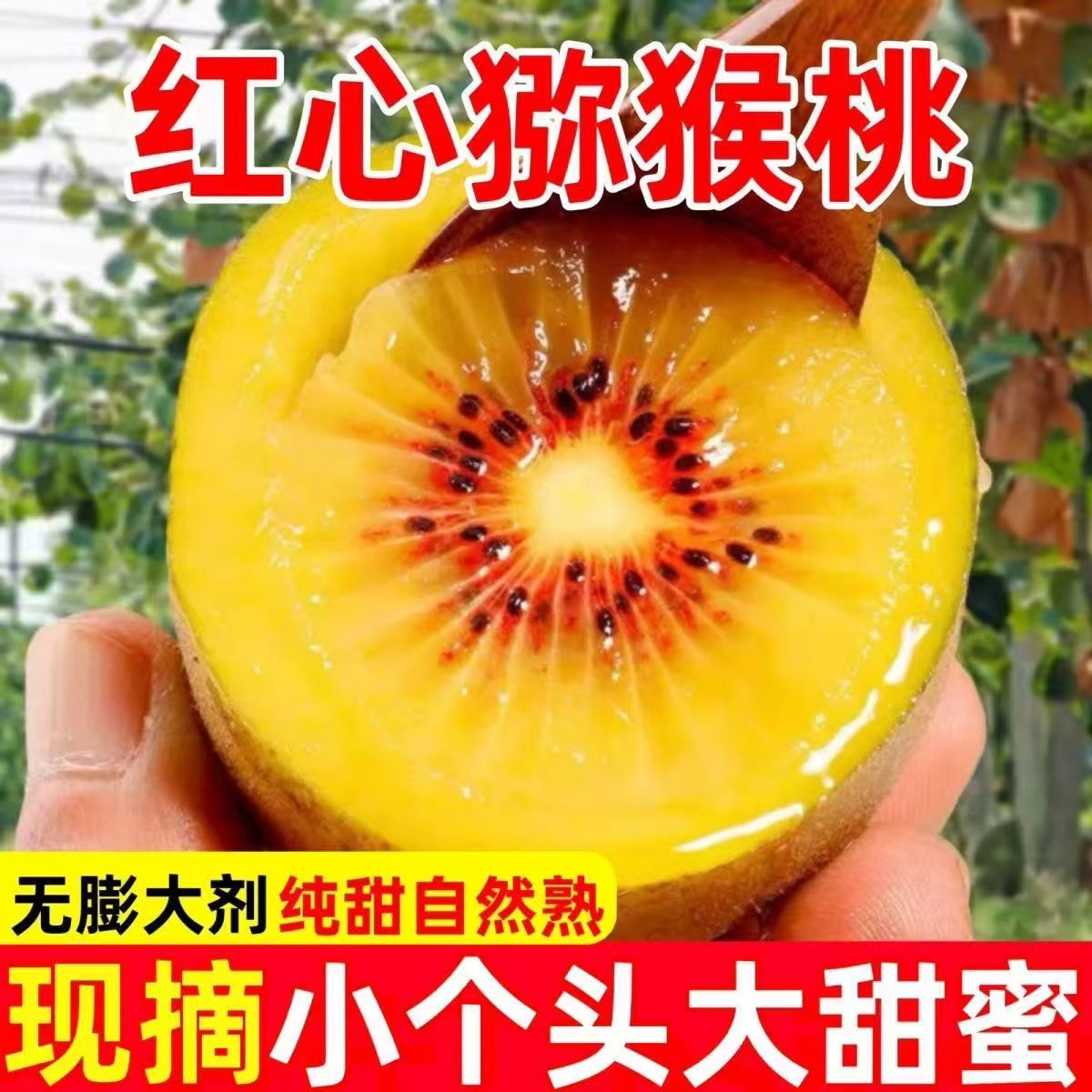 四川红心猕猴桃奇异果水果新鲜应当季蒲江现摘整箱30颗包邮