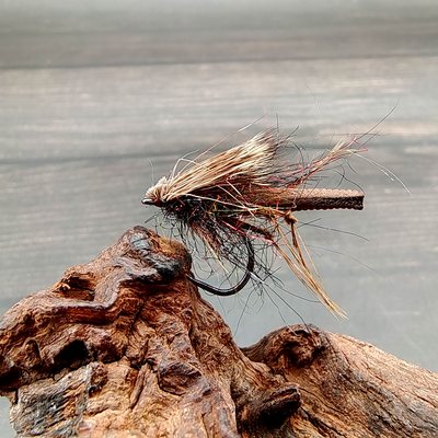 鹿毛石蚕蛾DeerHairCaddis