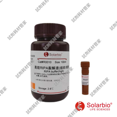 高效RIPA裂解液(组织/细胞) RIPA buffer(high) 蛋白提取试剂盒