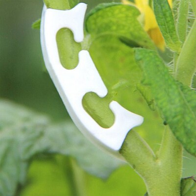 50pcs Plastic Tomato Branch Fixing Clip Fruit Sapling Hangin