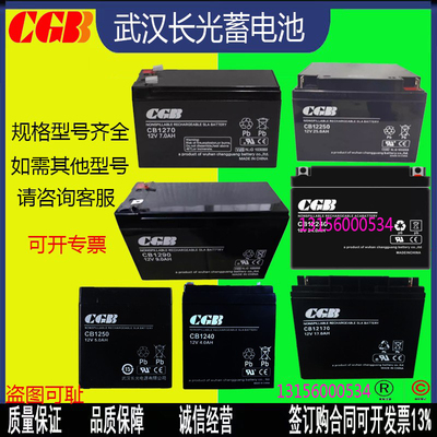 武汉长光蓄电池UPS主机电源包邮