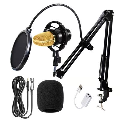 BM700 PC Microphone Studio Recording Professional Condenser