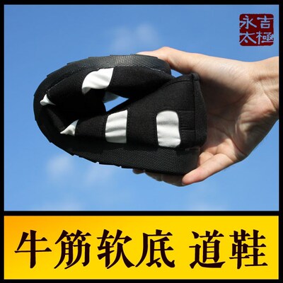 Wudang Mountion Taoist Shifang Kung fu Shoes Tai chi Martial