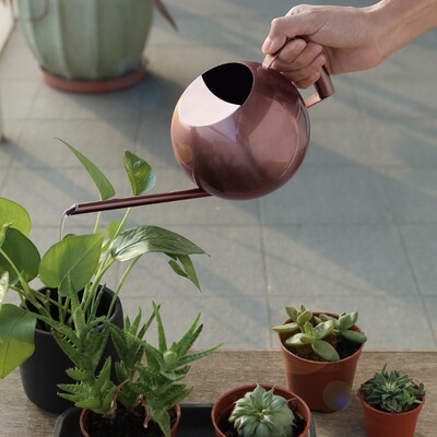 Gardening Tools Stainless Steel Watering Pot Mini Long Mouth