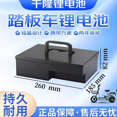 全新电动车脚踏款48v内置手提锂电池10ah20ah正品三元锂电新国标