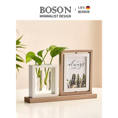 BOSON·Elm·相框创意水培植物摆台入户玄关家居客厅摆件 | 星榆