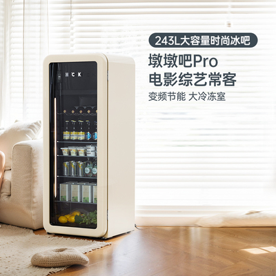 hck哈士奇冰吧243L大容量客厅
