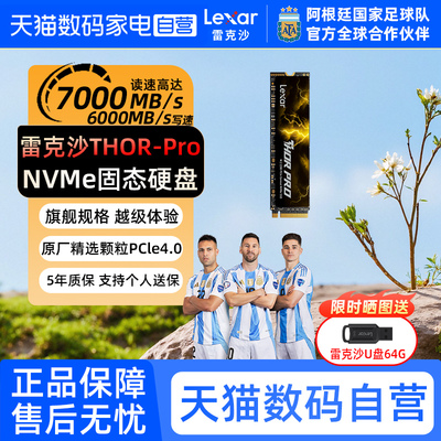 雷克沙固态硬盘THOR-Pro