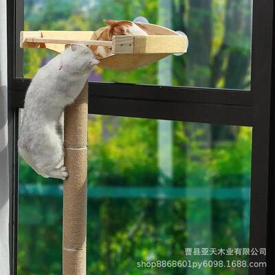 跨境现货质PVF猫爬架实木猫抓柱猫晒太木阳吸盘猫窝一体猫猫树吊